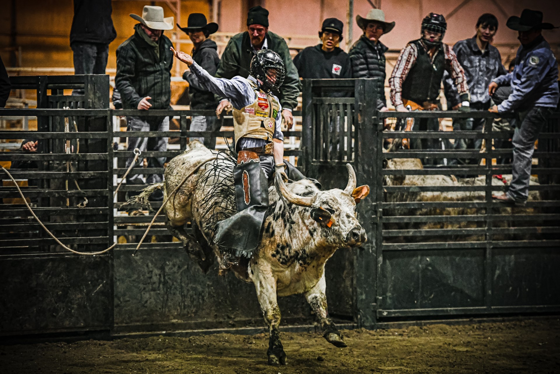 Bollig Sponsors Local Youth Bull Rider Blaine Carroll - Bollig Engineering
